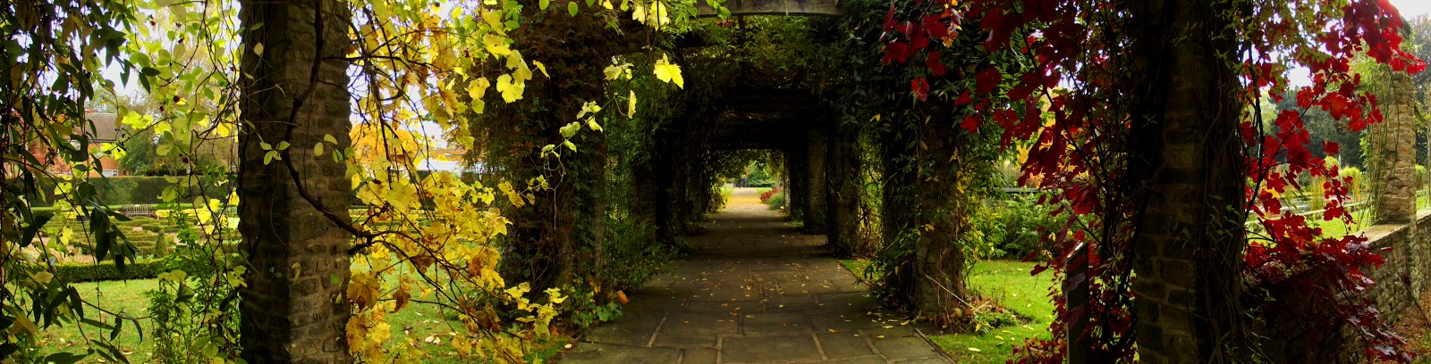 Panoramic Photos - The Leicester Botanical Gardens