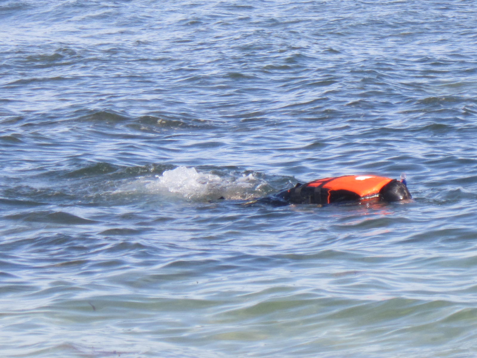 It's So Much Fun in Infanta: BALAKI ISLAND REVISIT