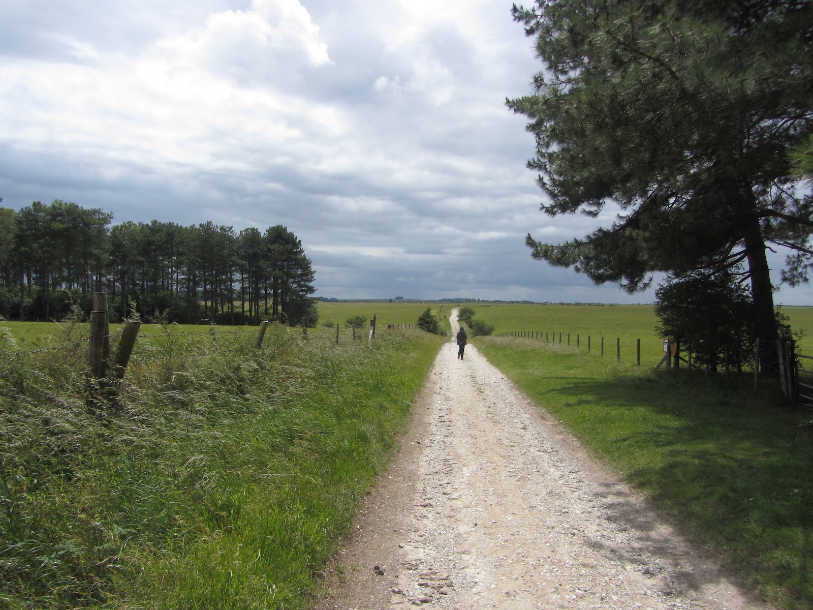 London DIaries (9) :A walk through the English Countryside | Tall Girl ...