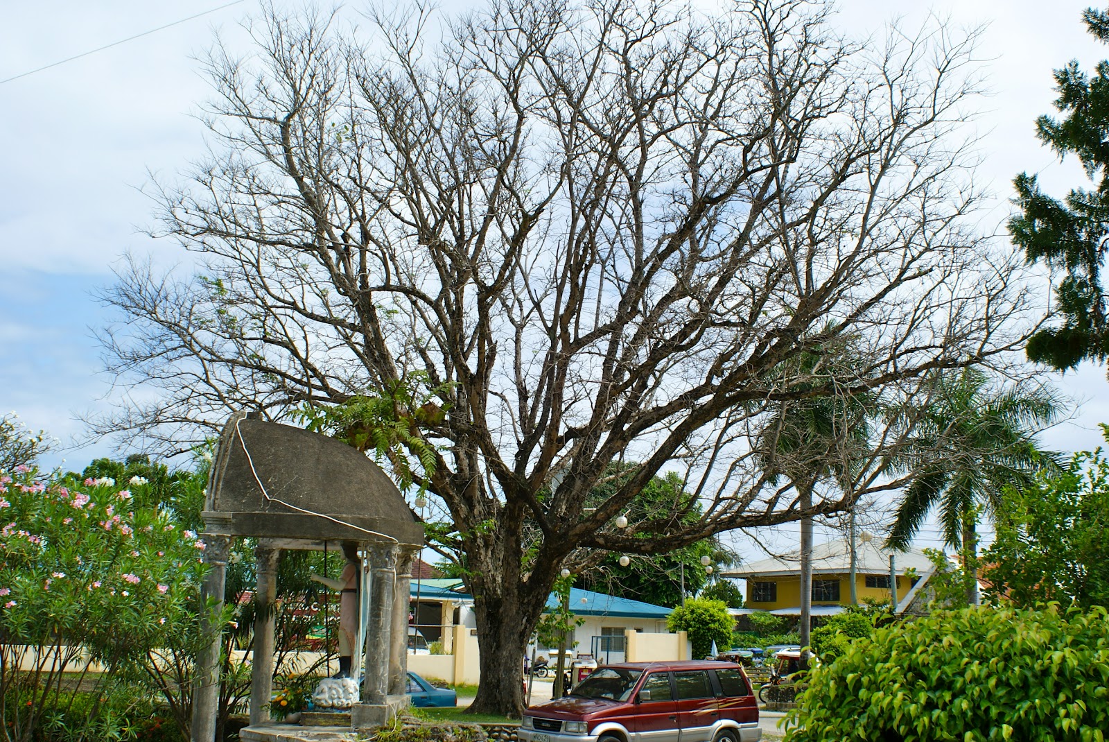 Carlo Andrew's Photos: Amazing Argao