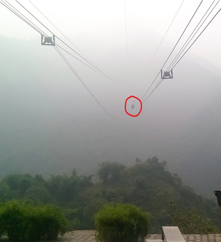 TIMBER TRAIL: A UNIQUE RESCUE OPERATION