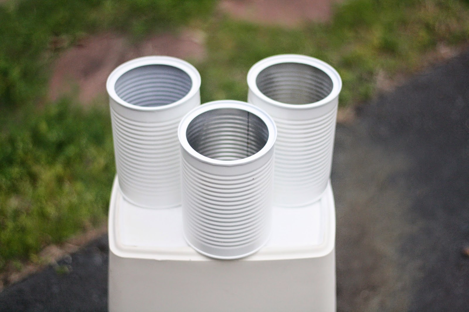 Woodbank Lane: Coffee can project...