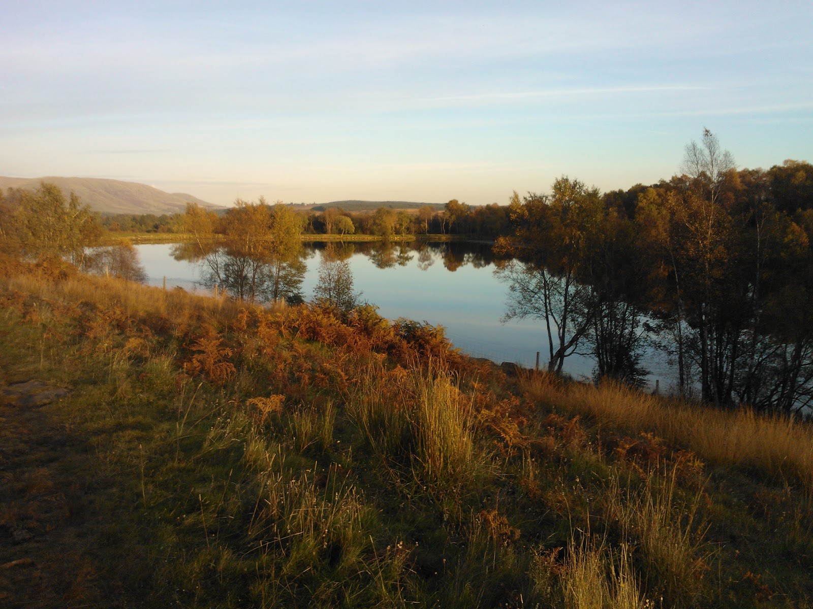 Strathblane Falconry News