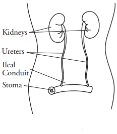 Tumbling Dice: april 2015