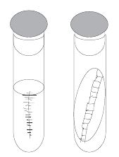 #BE_MUHARRIKAH*MIKRO: ISOLASI MIKROBA