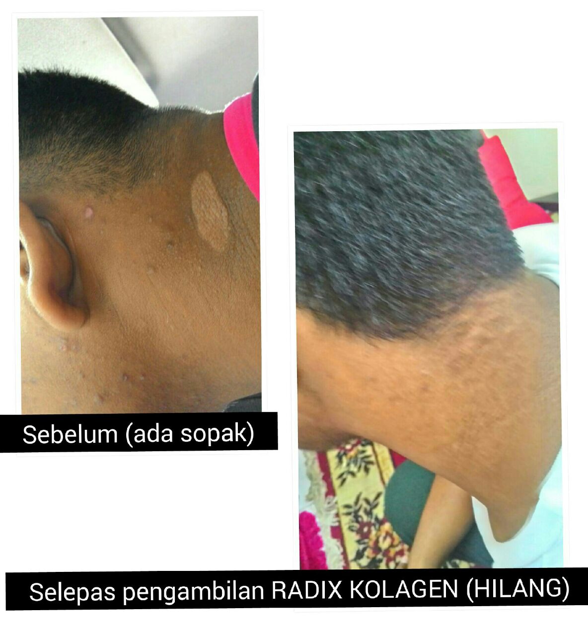 ELMUFEED Online-Shop