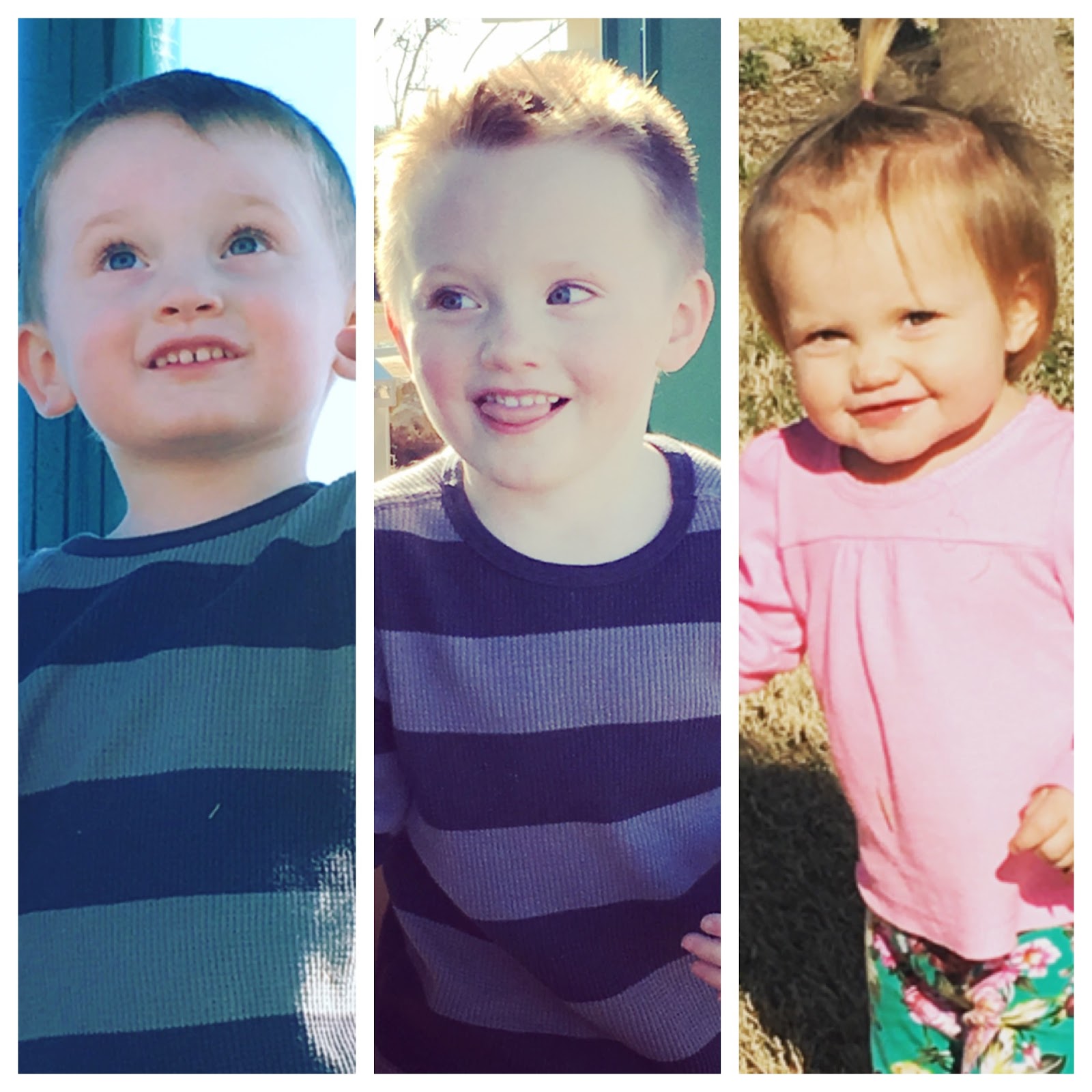 The Toddler Wrangler