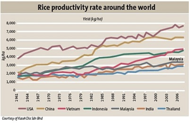 YetHau: Rice Farming in Malaysia