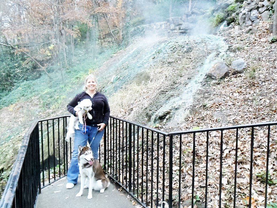 Dogs Luv Us and We Luv Them: 100 Places To See With Your Dog: Hot ...