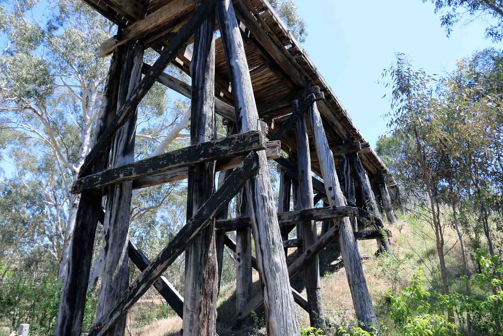 Abandoned But Not Forgotten: Mollisons Creek Bridge at Pyalong ...