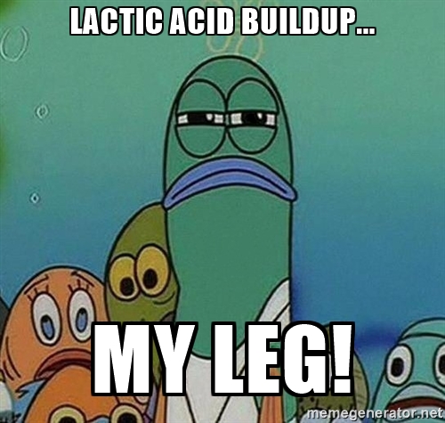 All Hands on Fitness: The "Lactic Acid" Myth