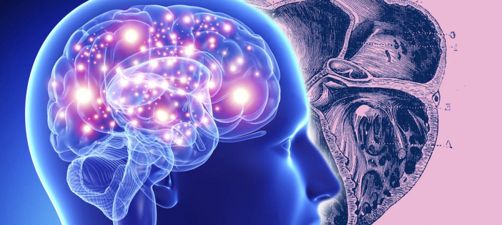 Entender la fobia social : ORIGEN DE LA FOBIA SOCIAL : FACTORES ...