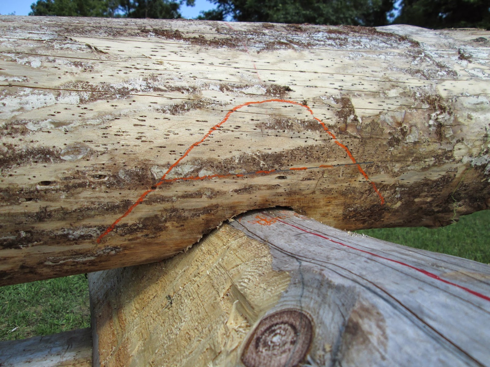 Bridges To The Future: Lock Notches, Why and How