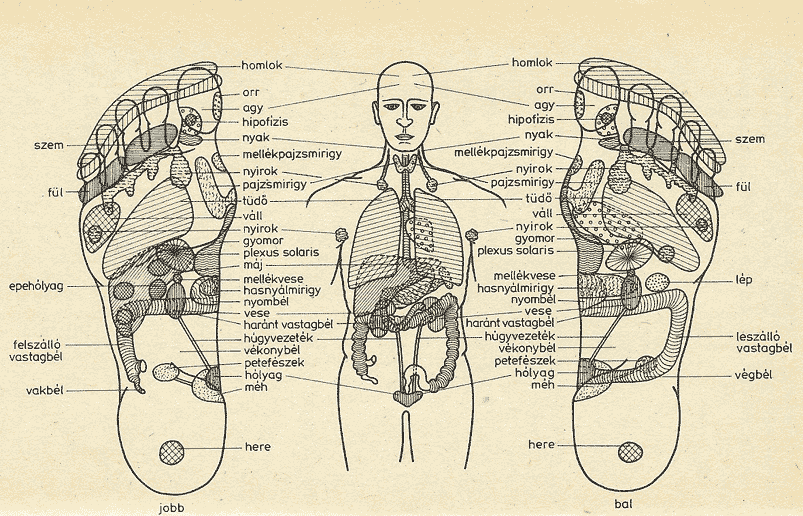 Mosolystúdió: A talpmasszázs jelentősége