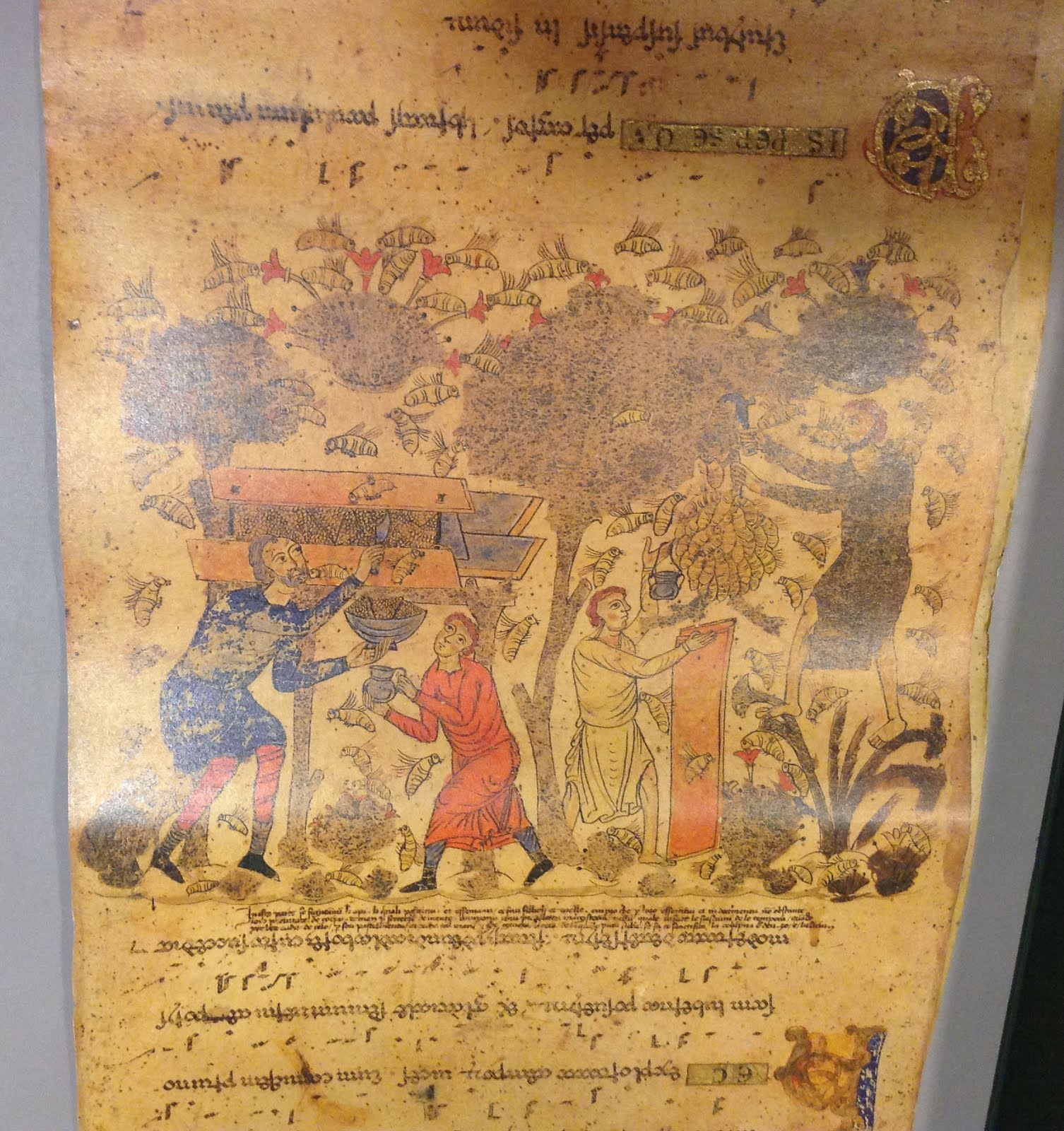 Rare Medieval Liturgica: The Exsultet Roll ~ Liturgical Arts Journal