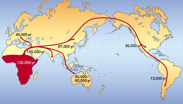 Noticias de la Prehistoria: El origen del ser humano y poblamiento del ...