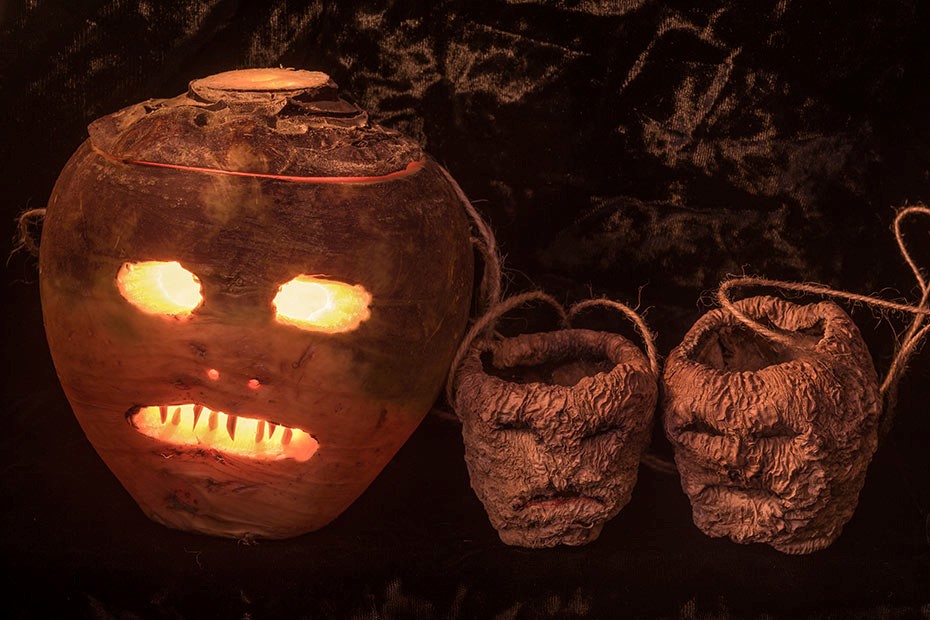 ARBICO Organics: How Pumpkins Replaced Turnips at Halloween