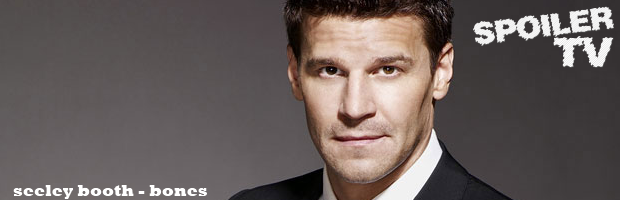 Played By: David Boreanaz