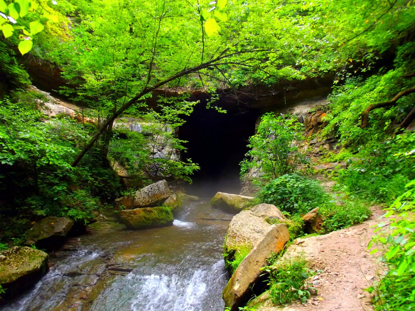 Mossy Feet Books: Sample Chapter - A Visit to Spring Mill - Caves and ...