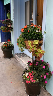 DAVID SCOTT MEIER: Studio gardening....