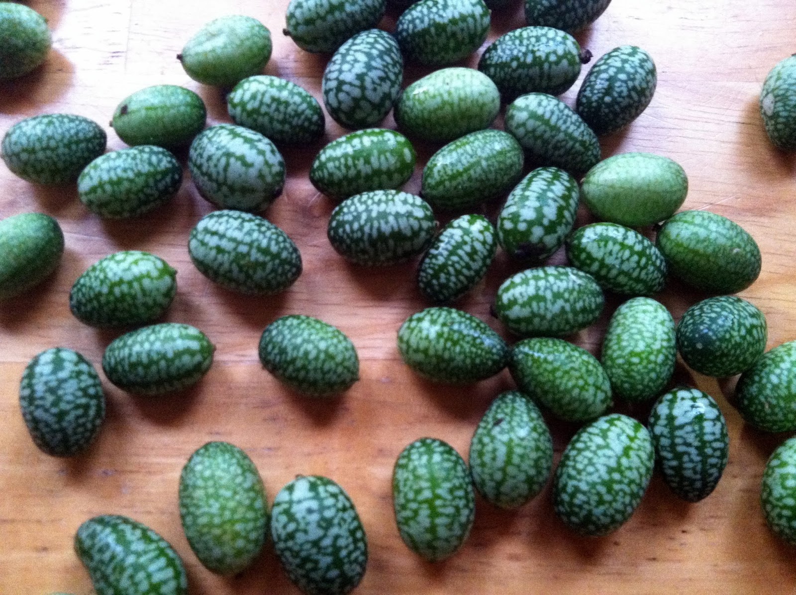 A Couple in the Kitchen: What Are Those? - Mexican Sour Gherkins