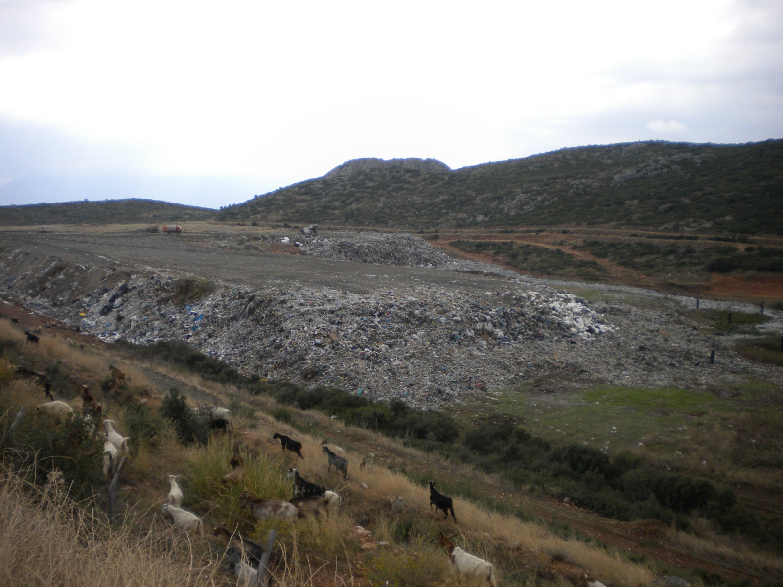 ΒΙΩΣΙΜΗ ΔΙΑΧΕΙΡΙΣΗ ΣΚΟΥΠΙΔΙΩΝ: 2013