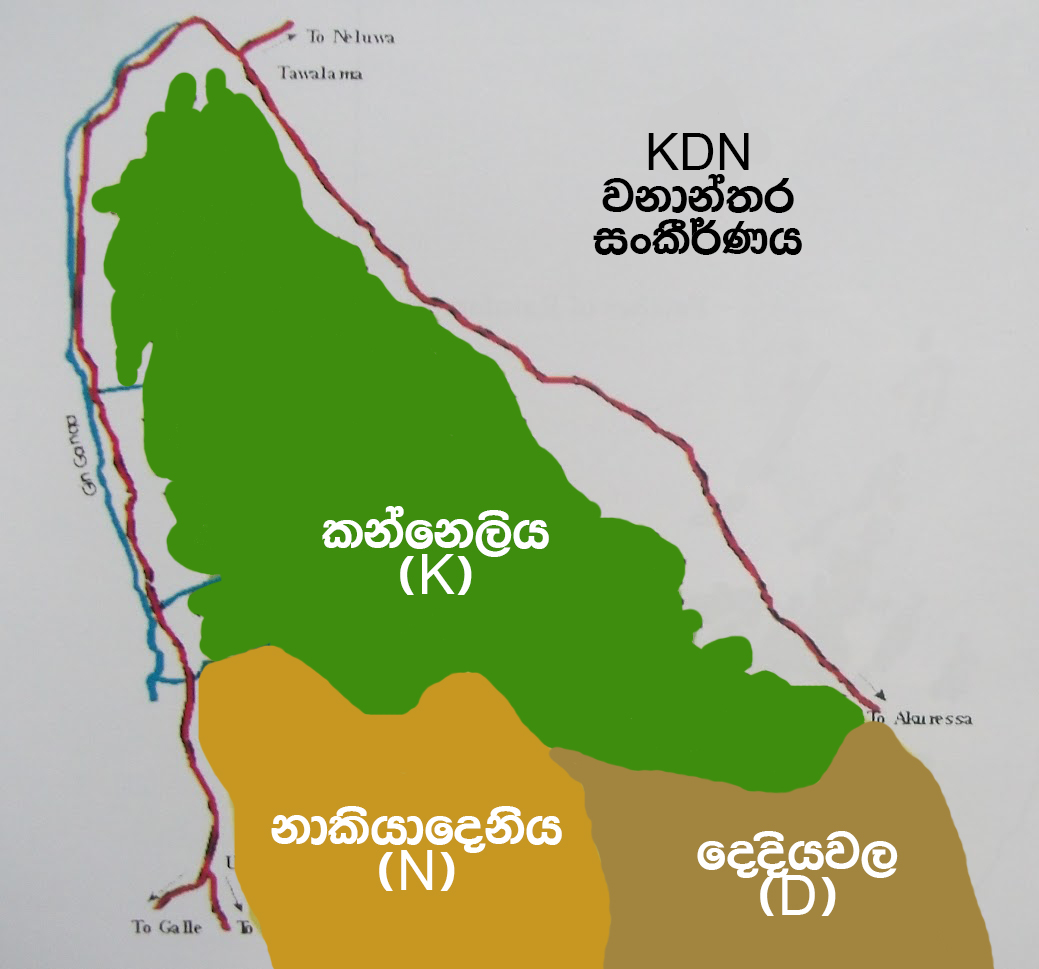 Nirmana: Kanneliya-International Biosphere Reserve - කන්නෙලිය ...