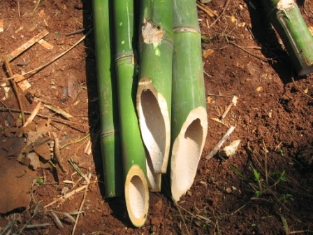RUMAH KAIL: Pembuatan dan pemasangan rucuk bambu