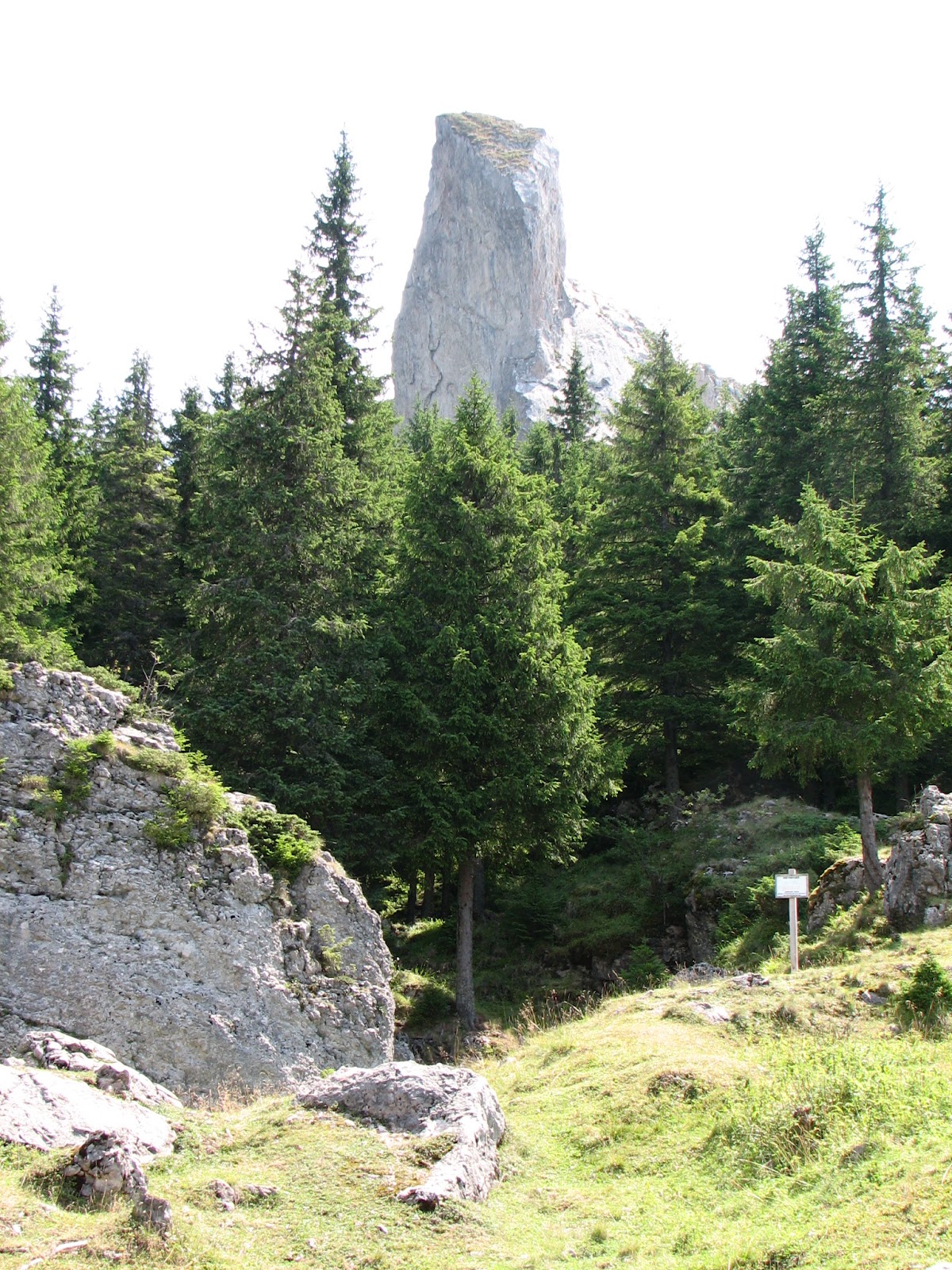 Cabana Rarau: Fotografii