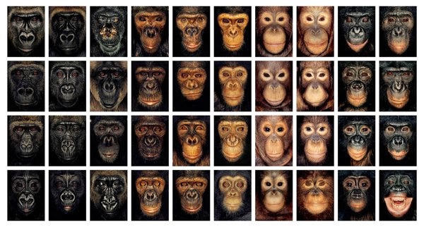 The Students 'How to' Photography blog: Typology in photography (How to ...