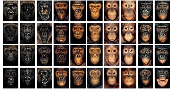 The Students 'How to' Photography blog: Typology in photography (How to ...