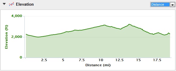 Philosopher Runner: Calico Trail Run 30k - Race Report