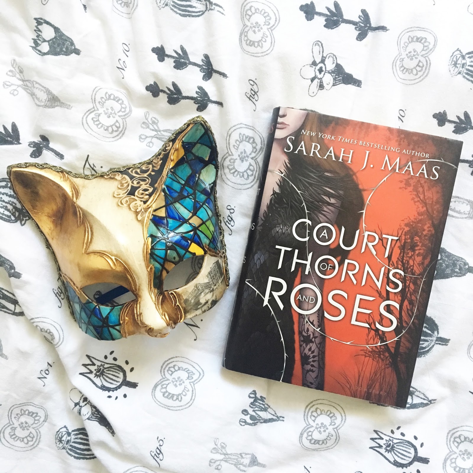 ACOTAR Series Reread: A Court of Thorns and Roses Wrap-Up (+ Giveaway ...