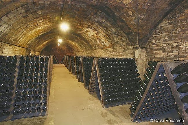 Con uve de Vino: Elaboración del cava