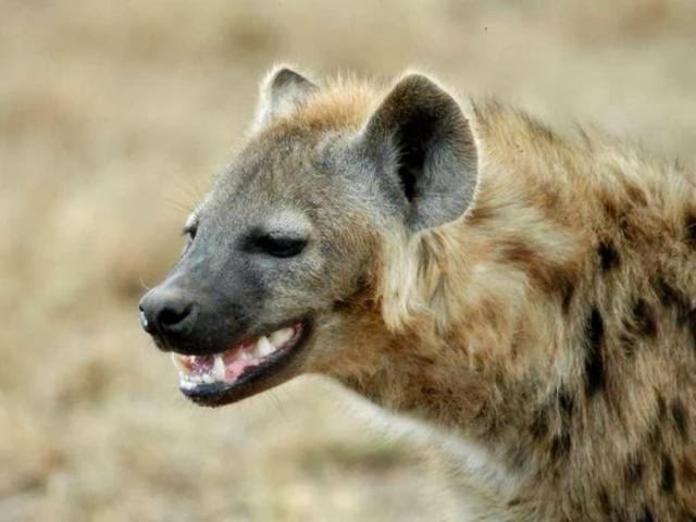 Blog Archives - trackerturbo