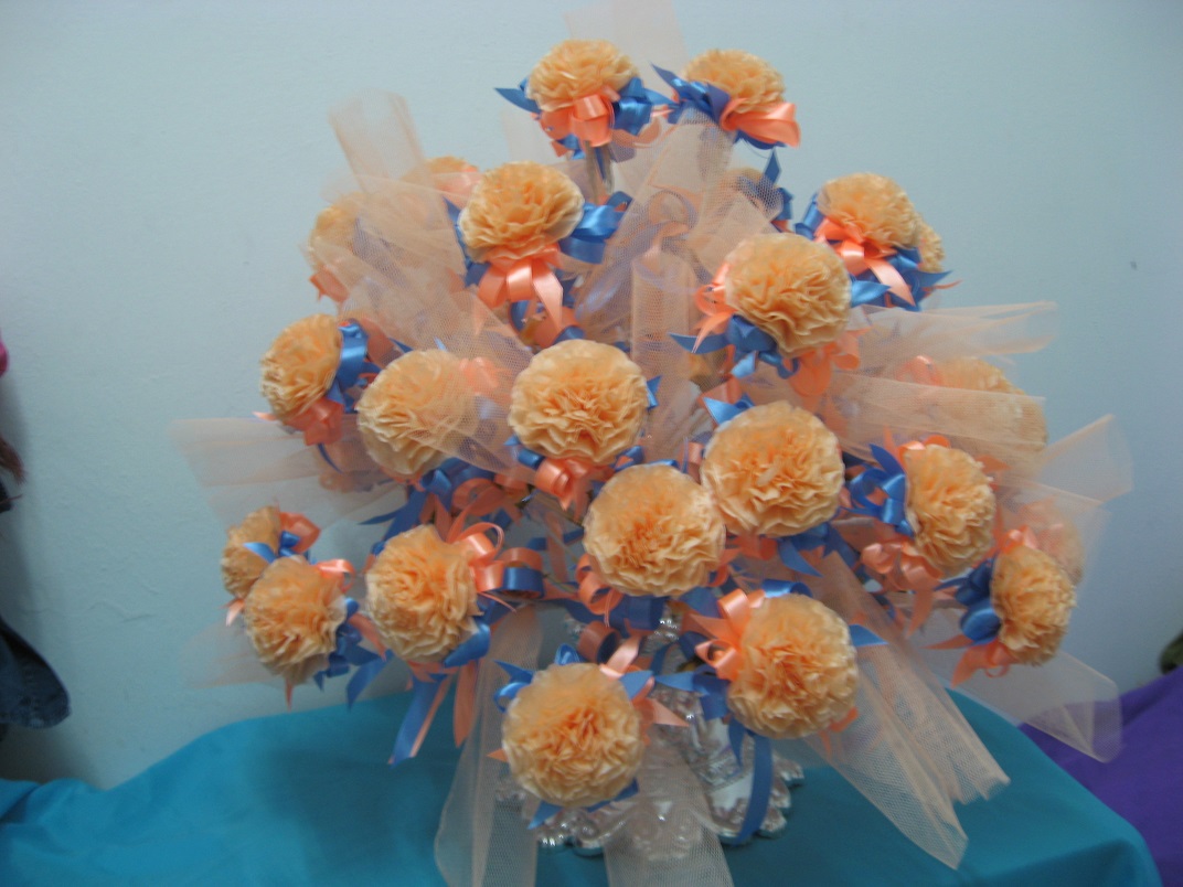 Mirza Simply Craft : BUNGA TELUR TISU CARNATION