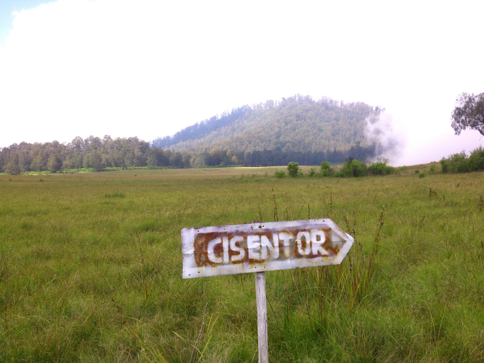 Kenapa Harus Cikasur? (Gunung Argopuro)