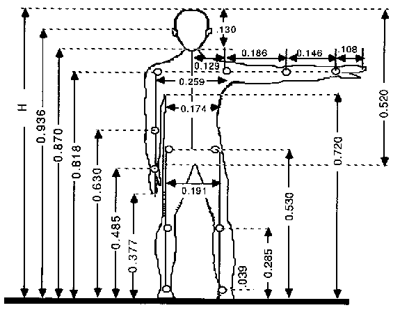 BERSAMA ILMU: Anthropometric