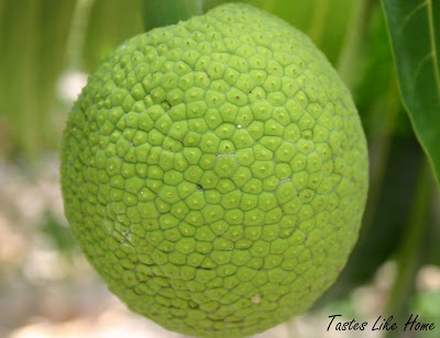 South Indian Bread Fruit Dosa - Happiest Ladies