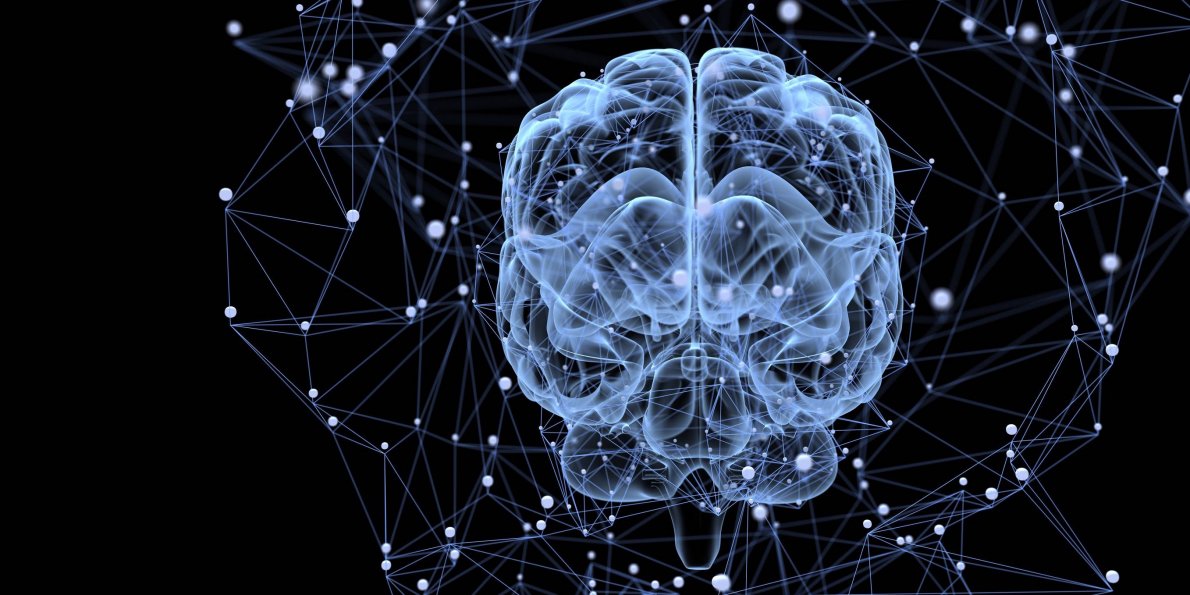 The most detailed map of the brain ever created