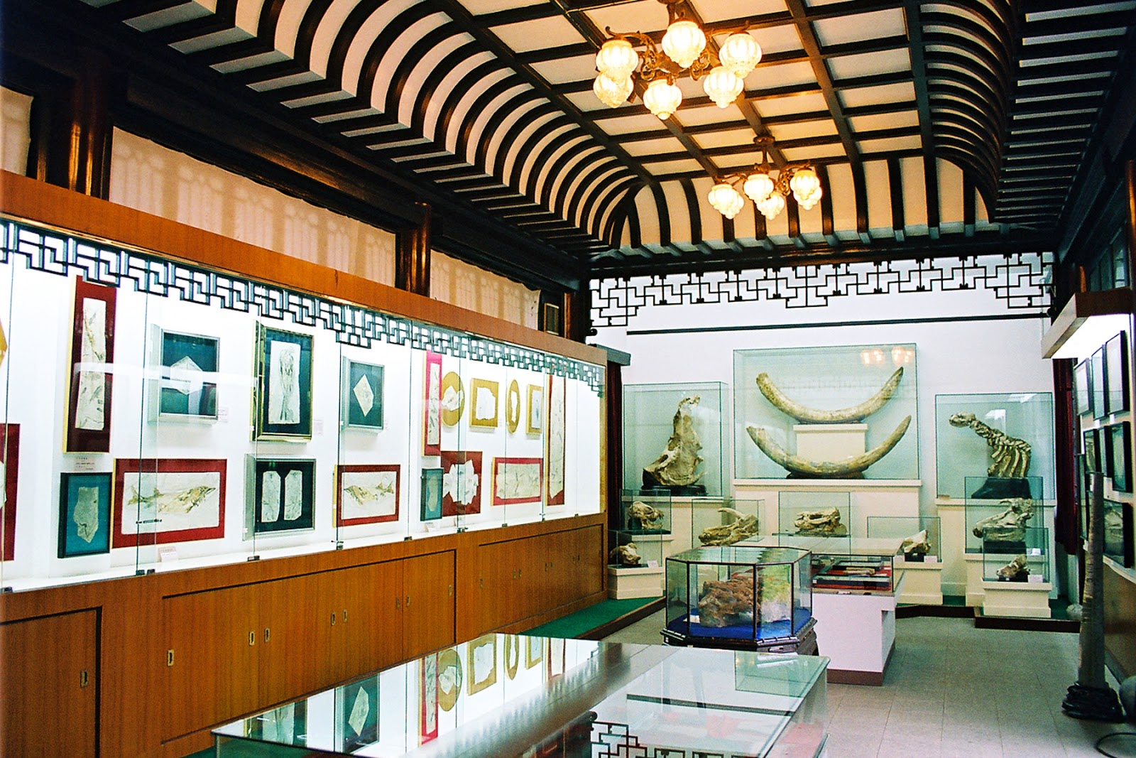 Hubei Travel Guide: National Stone Museum