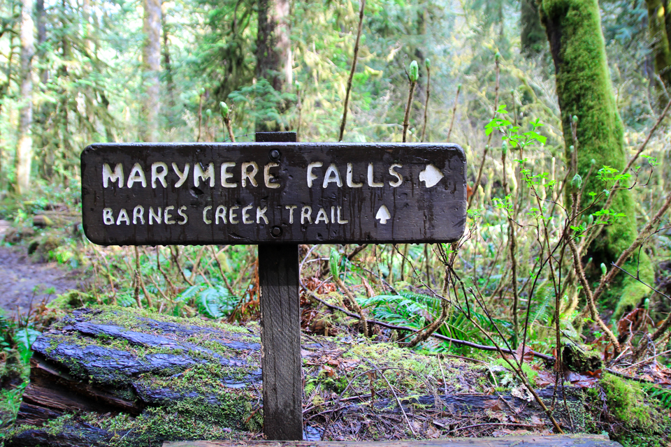 Ink Adventure Olympic National Park WA Lake Crescent And Marymere Falls ink-adventure-olympic-national-park-wa-lake-crescent-and-marymere-falls