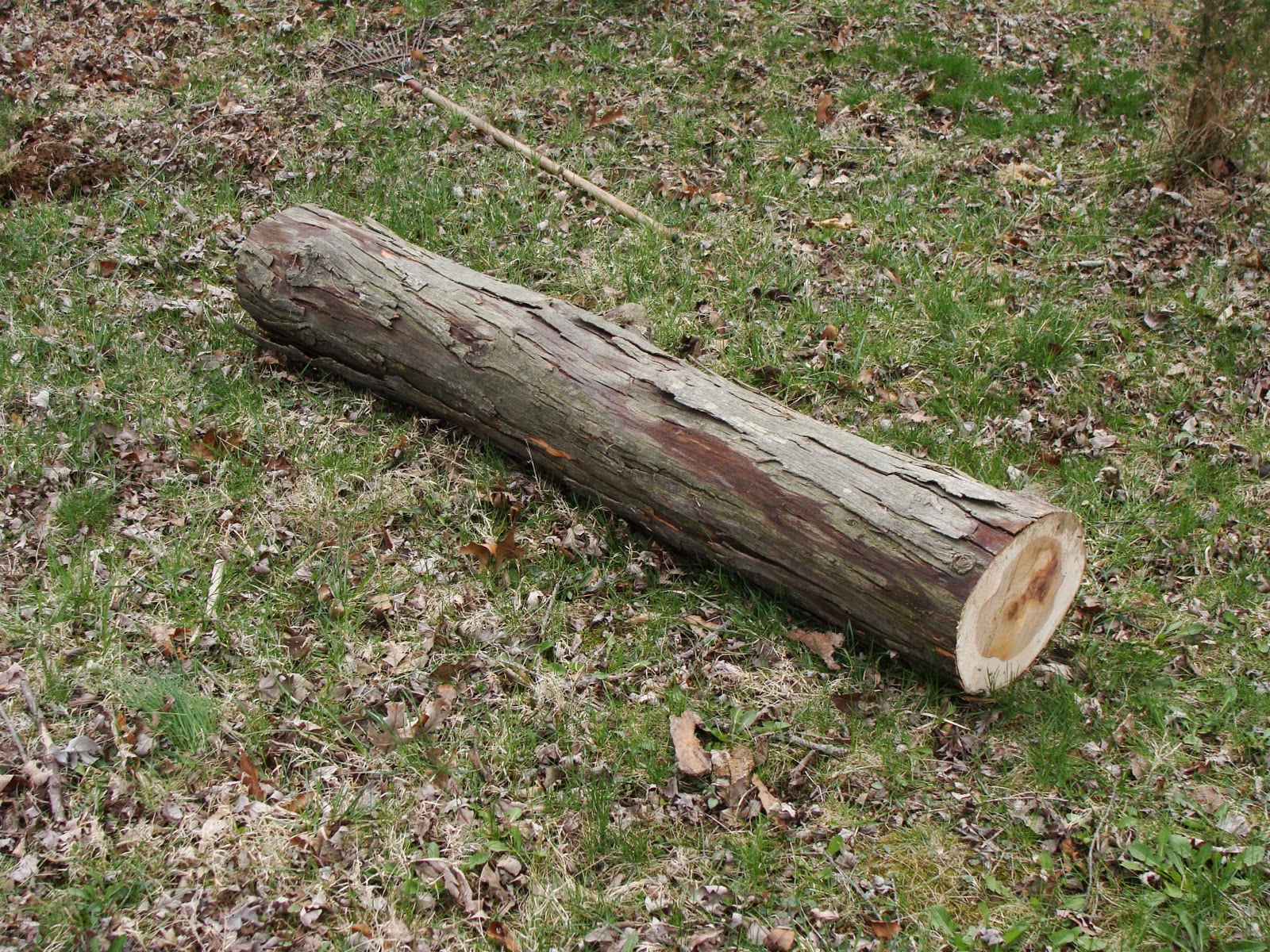 DIY Blacksmithing: Setting the Stump