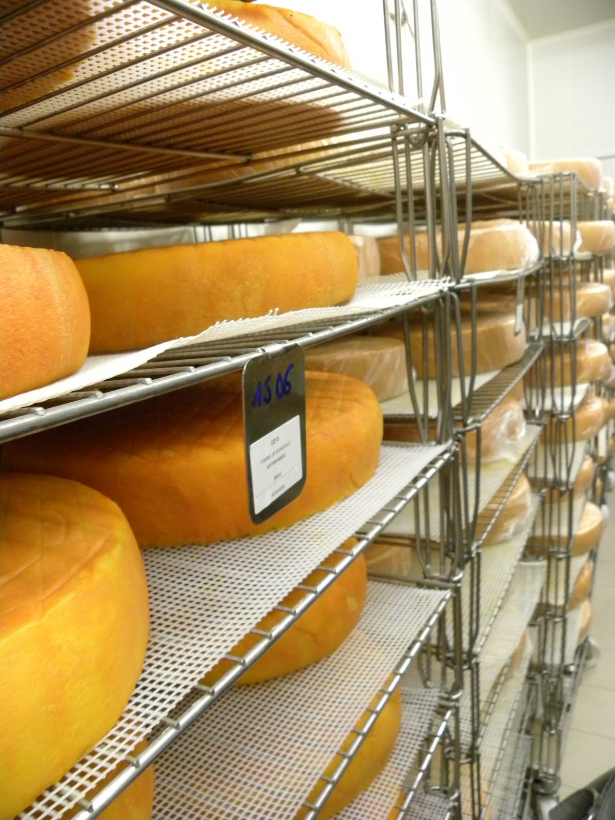 France Summer 2011: Les Formage (Cheese)