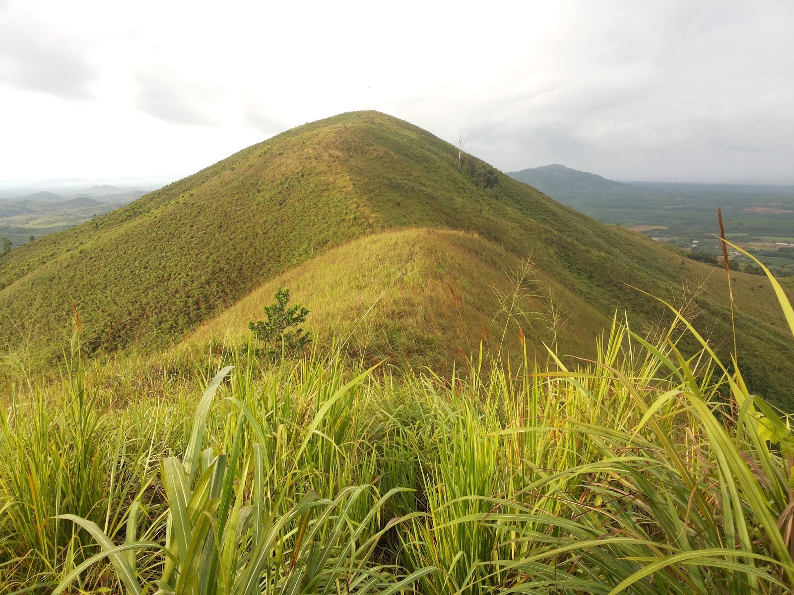 Cerita lalu-jejak kakiku(np adventure): Bukit telang ...kalimantan selatan