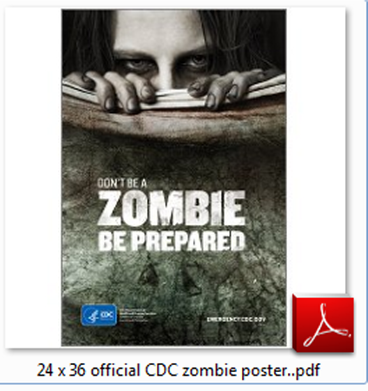 A Warded Neuron: Zombie Preparedness and the Real Life CDC