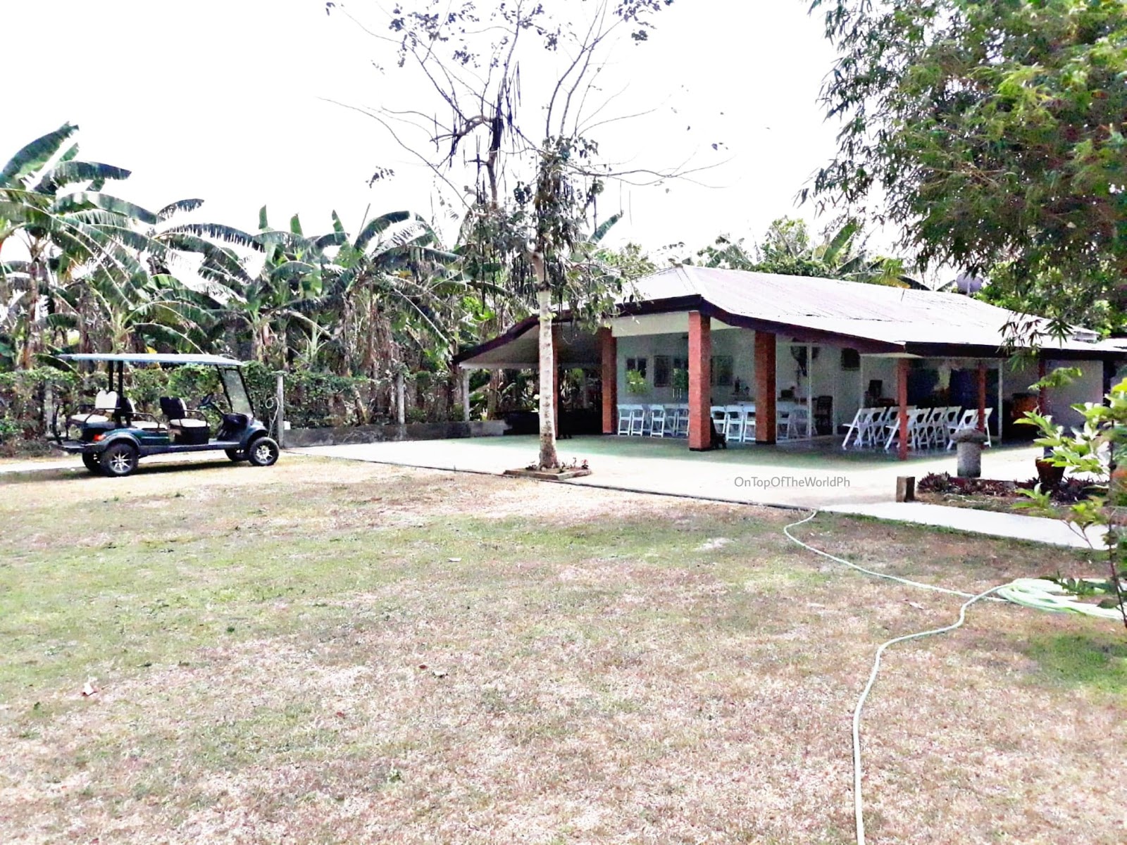 Trip to Bambú Cafe, Bar and Events Place