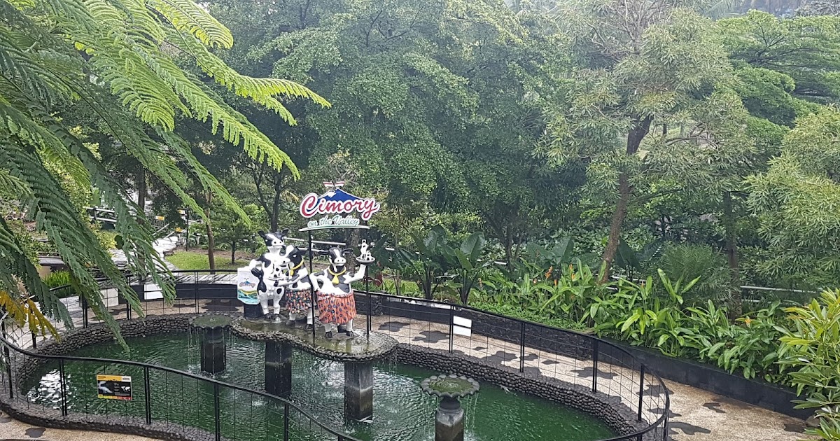 Cimory on The Valley Unggaran Semarang, Restoran dan Tempat Wisata Anak ...