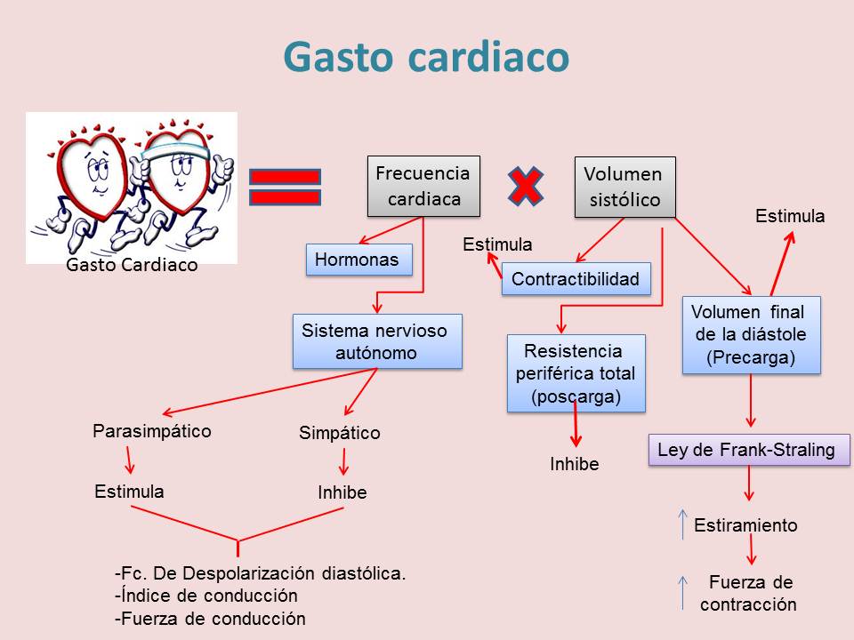 Portafolio de evidencias de Fisiología Básica (Ilsa Elenes IV.-5 ...