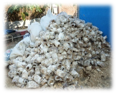 Cara Budidaya Cacing Tanah, Peternak Cacing Tanah, Jual Cacing Tanah ...